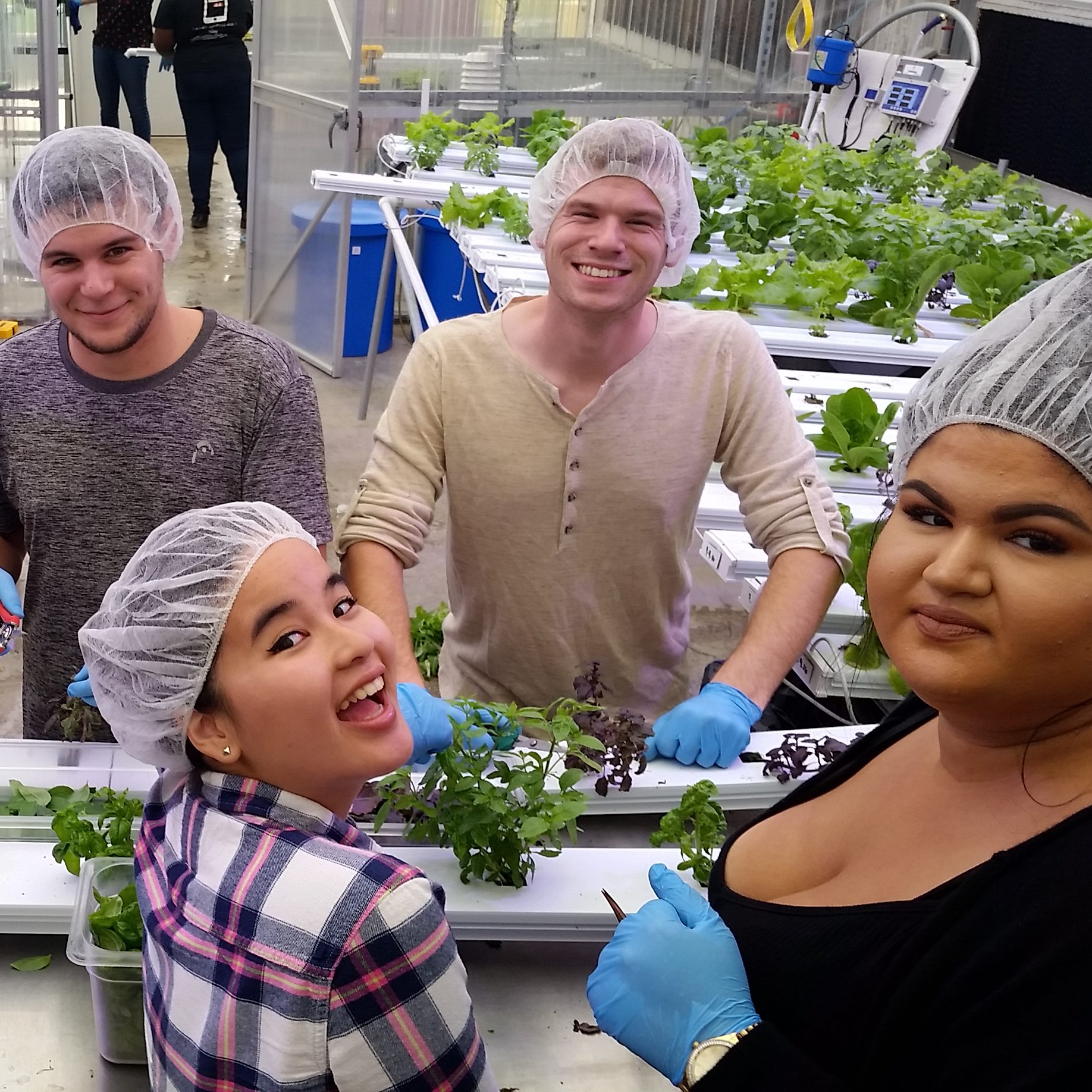 Presidents Park Greenhouse – University Sustainability