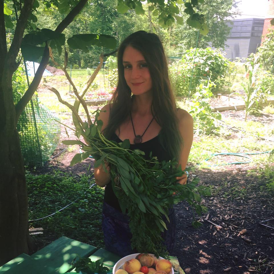 Alexa Hines » Past Interns and Staff – University Sustainability