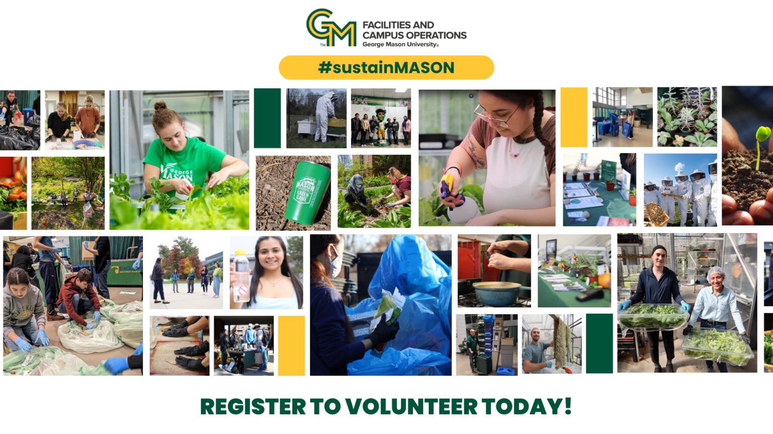 Volunteering – University Sustainability