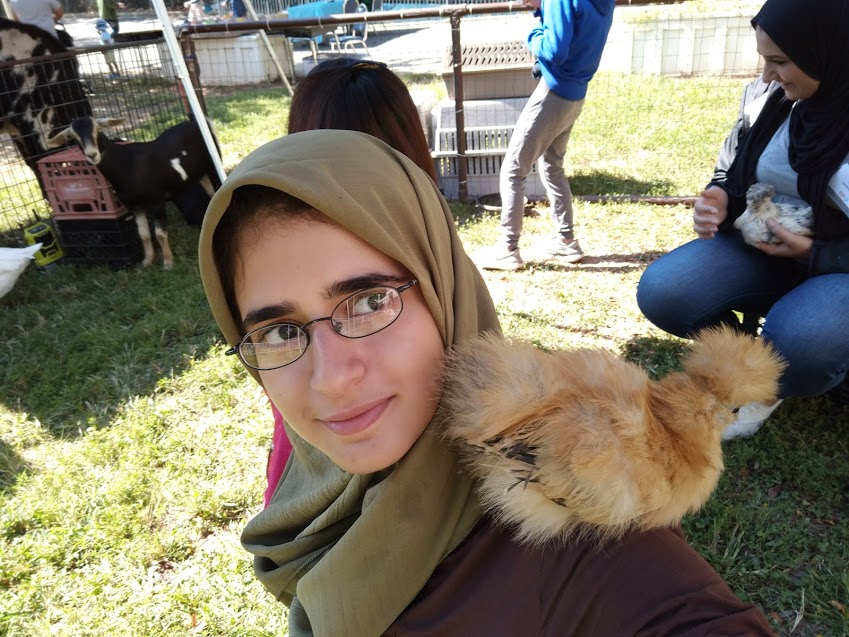 Hala Elbarmil » Past Interns and Staff – University Sustainability