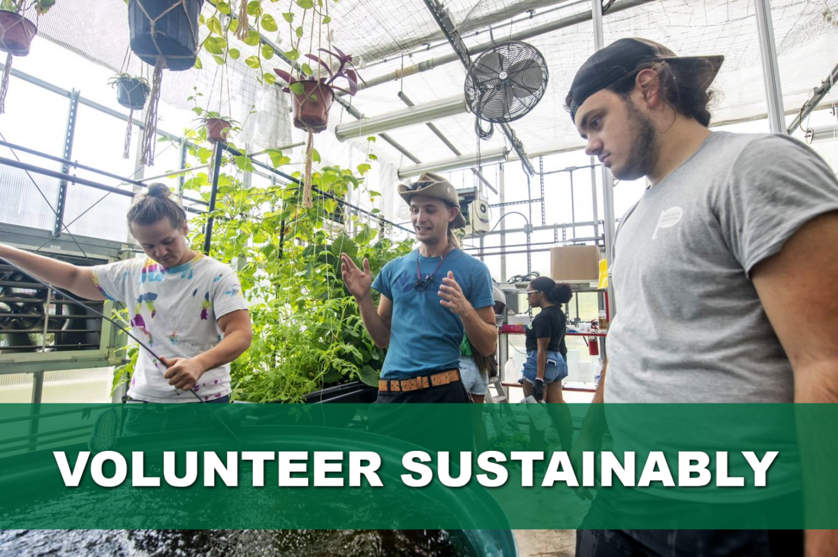 Volunteering – University Sustainability