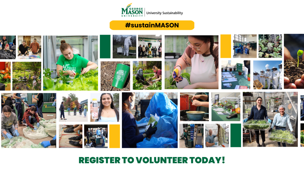 Volunteering – University Sustainability