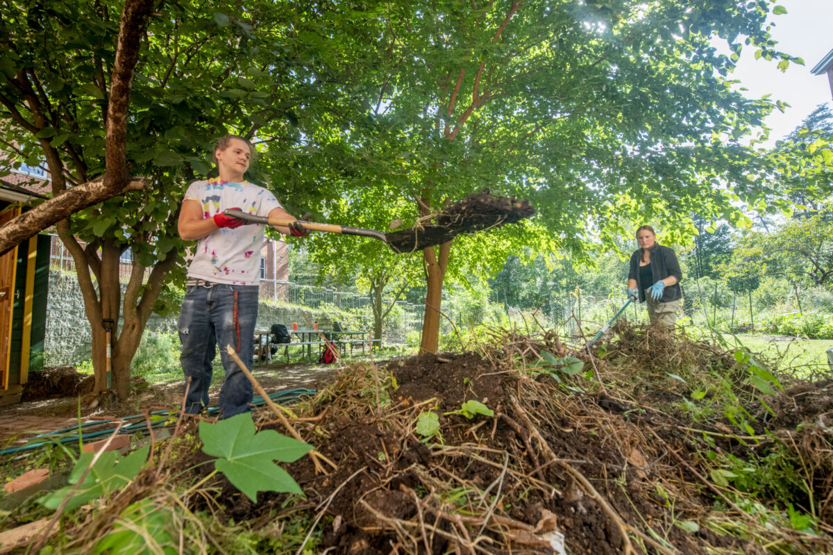 Greenhouse and Gardens Academic Internship Program – University ...
