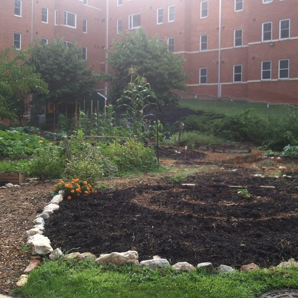 Campus Gardens – University Sustainability
