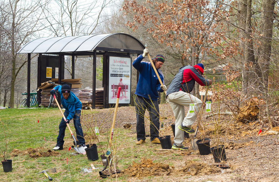 Innovation Food Forest Timeline and Photos – University Sustainability